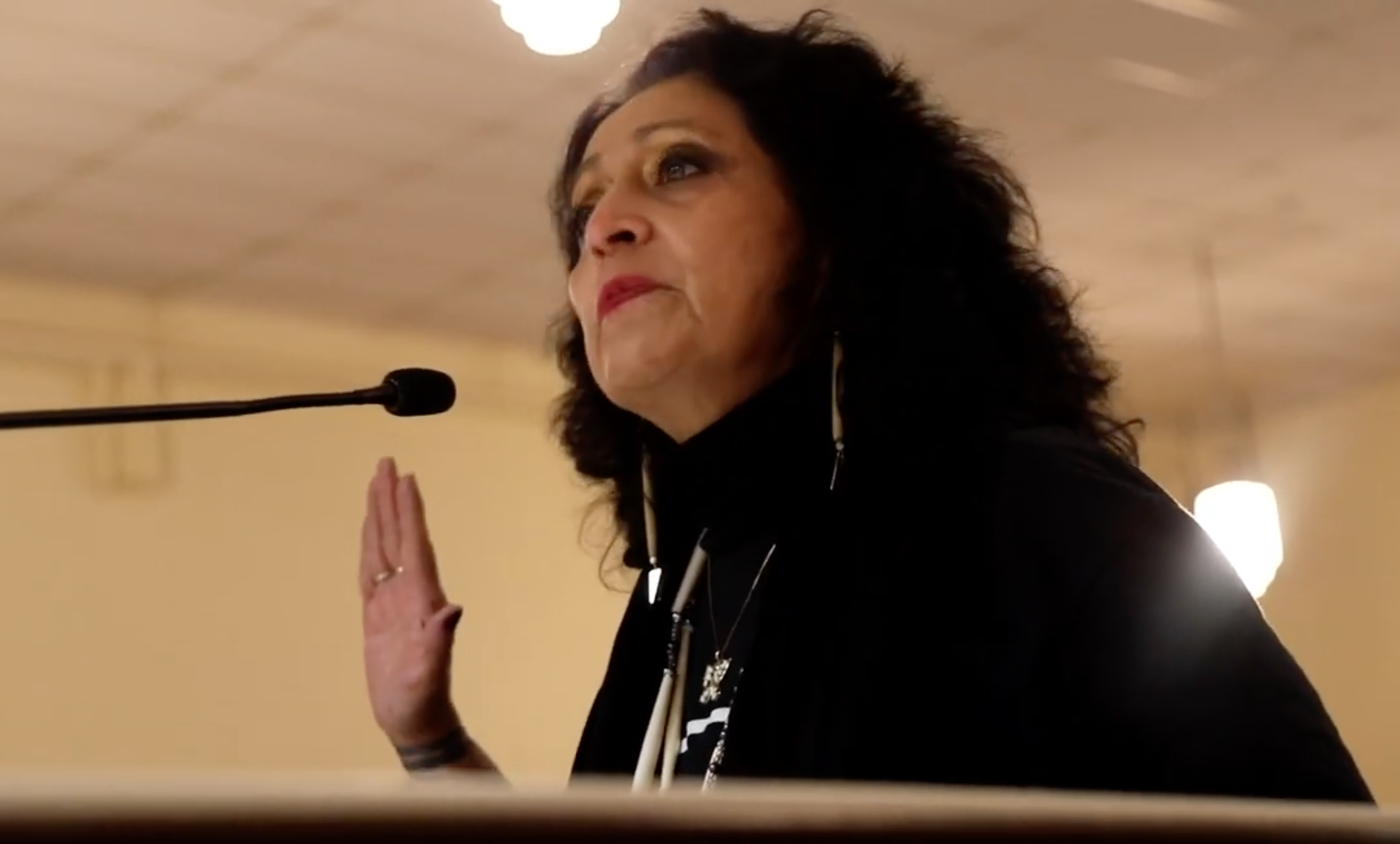 Ladonna Brave Bull Allard NoDAPL Testimony
